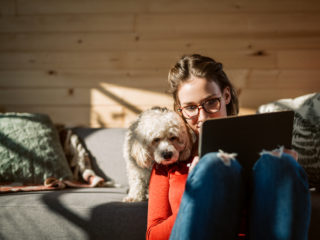 What is the Live! Feature on Plenty of Fish? - The Blog - POF.com